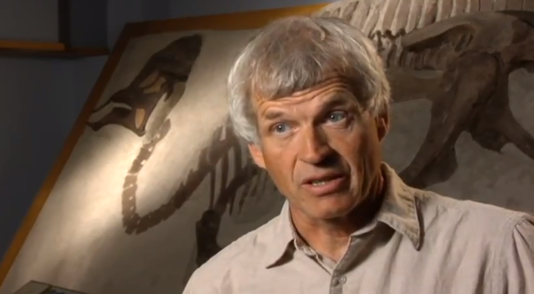 ES ESTAT DESCOBÈRT UN NÒU DINOSAURE AMB DE PLUMAS - Sapiéncia.eu